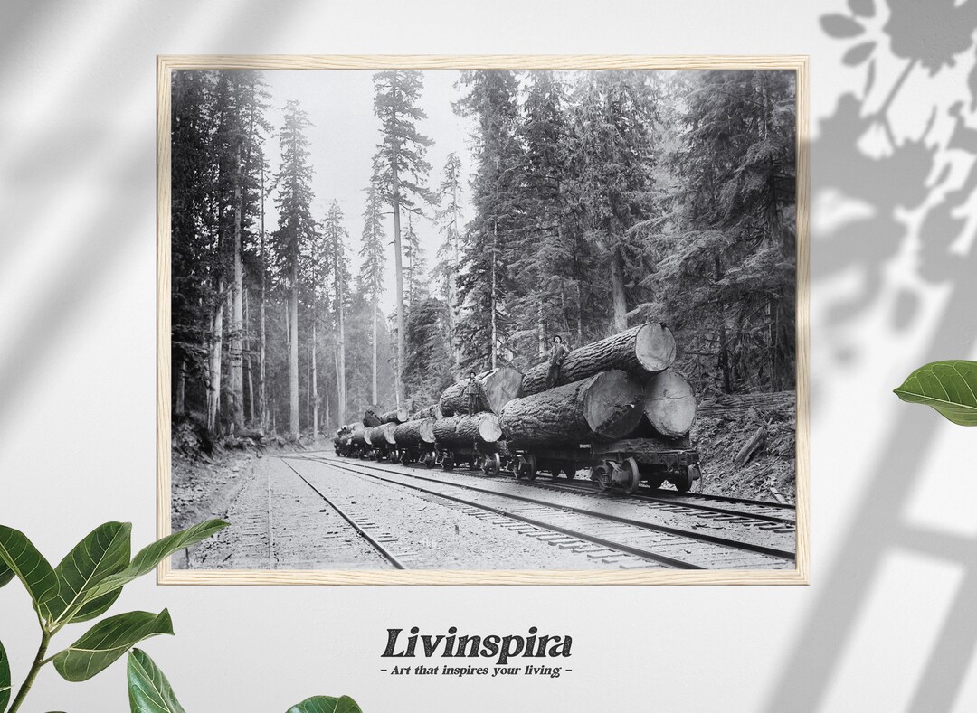 Historic Train & Logs Black N White Image | Vintage Logging Scene ...