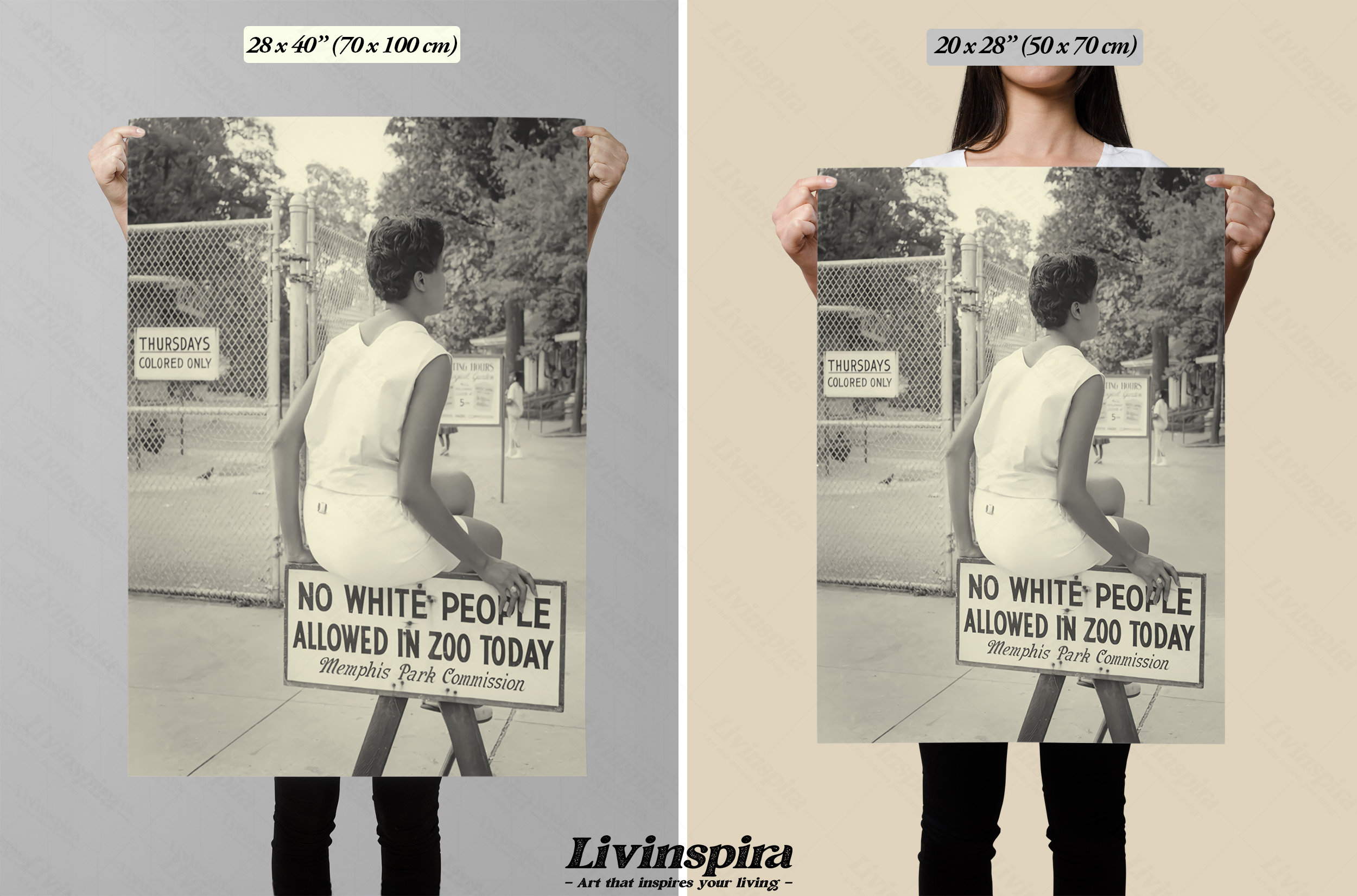 Historic Snapshot | Woman Observing Segregation Sign | Reflection of ...