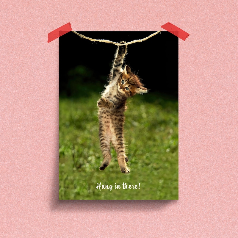 Cat Hang in There Poster - Etsy