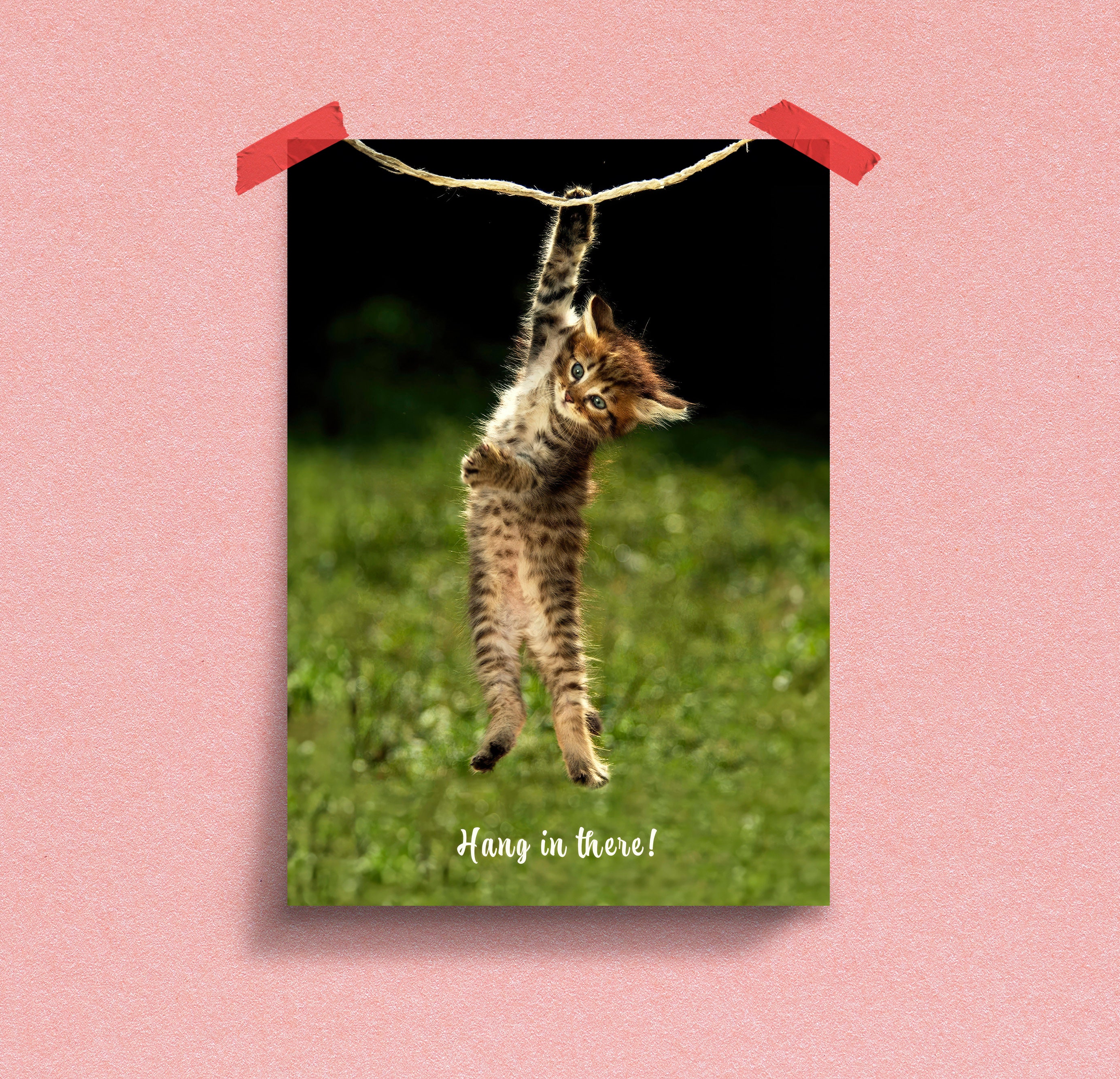 Hang in There Kitten Poster | Inspirational Quote Animal Print for Home ...