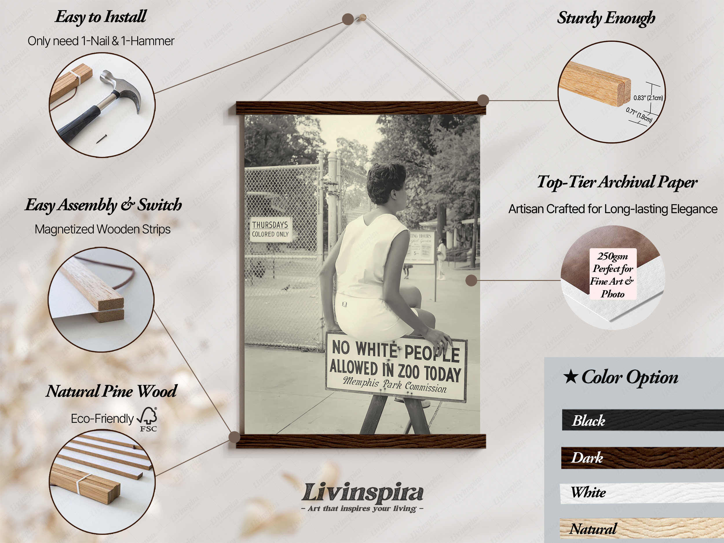 Historic Snapshot Woman Observing Segregation Sign Reflection of Past ...