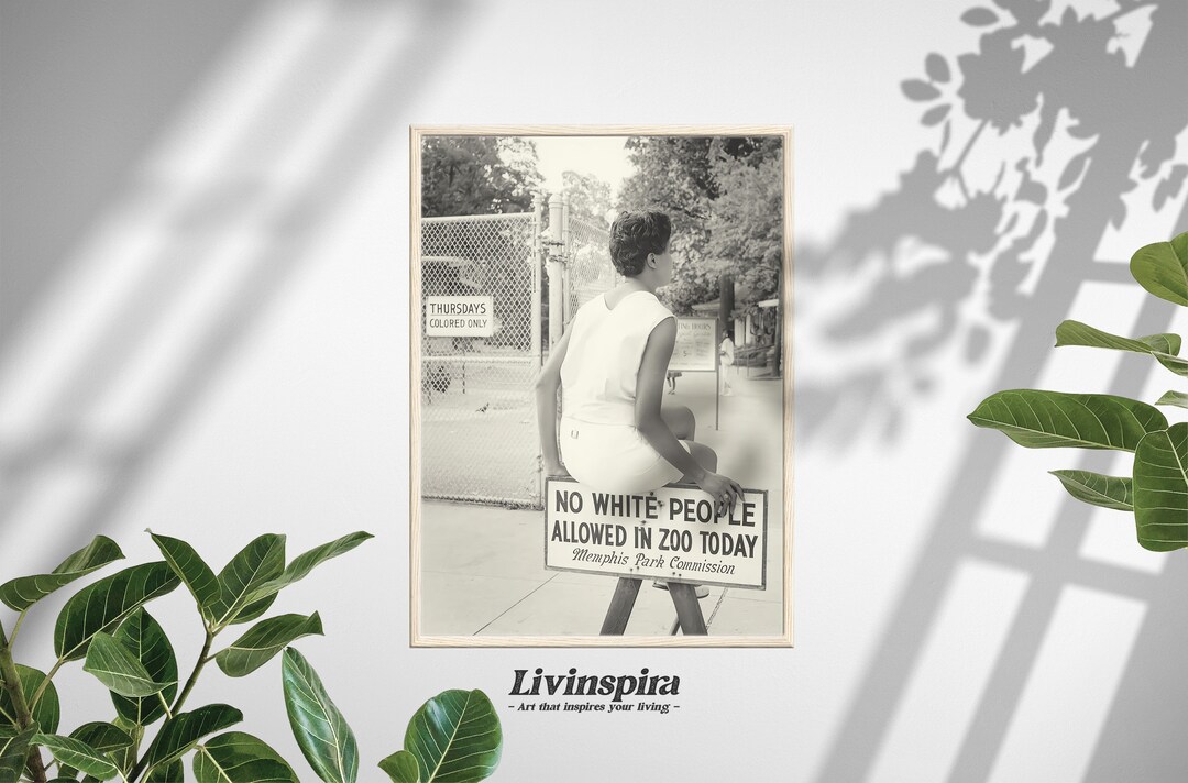 Historic Print | Woman Observing Segregation Sign | Reflection of Past ...