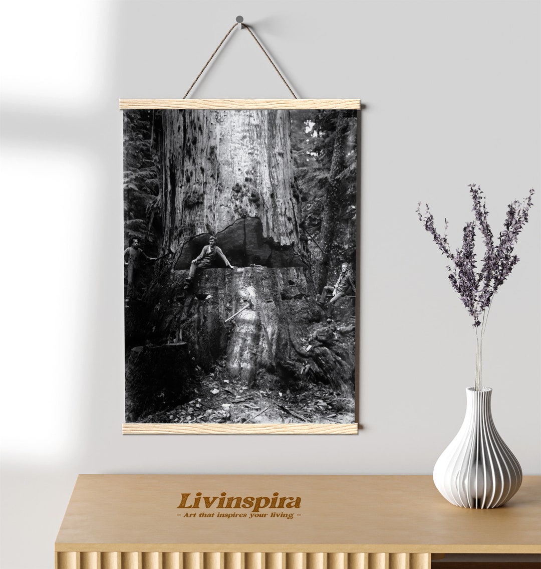 Historic Logging Photo | Black N White Photo | Vintage Wood Logging ...