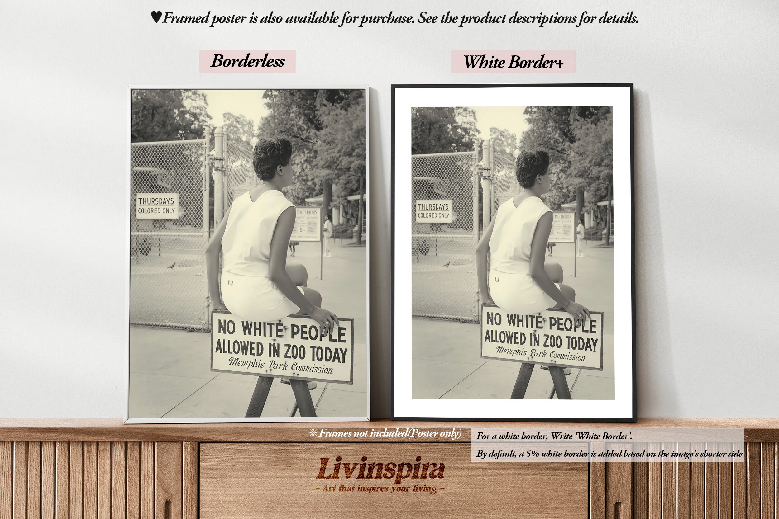 Historic Snapshot | Woman Observing Segregation Sign | Reflection of ...