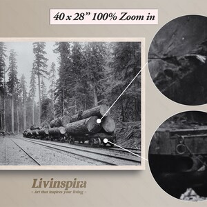 Historic Train & Logs Black N White Image | Vintage Logging Scene ...