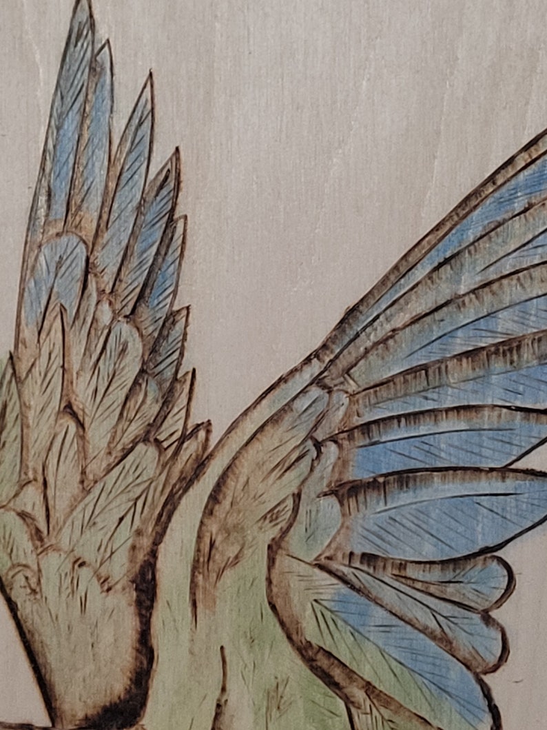 Wood Burned Parrot in Flight With Light Acrylic Paint - Etsy