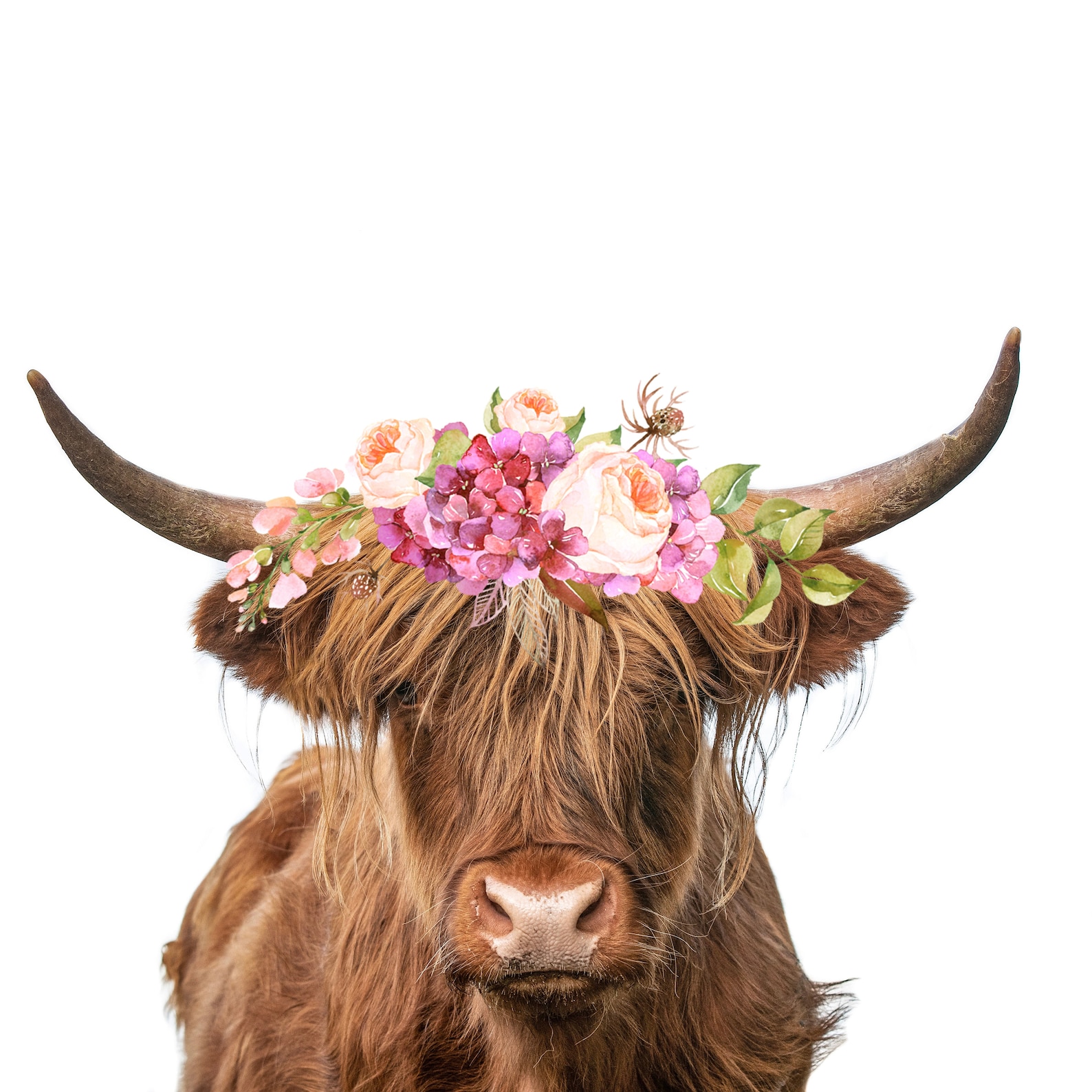 Highland Cow With Flower Crown Large Downloadable File - Etsy