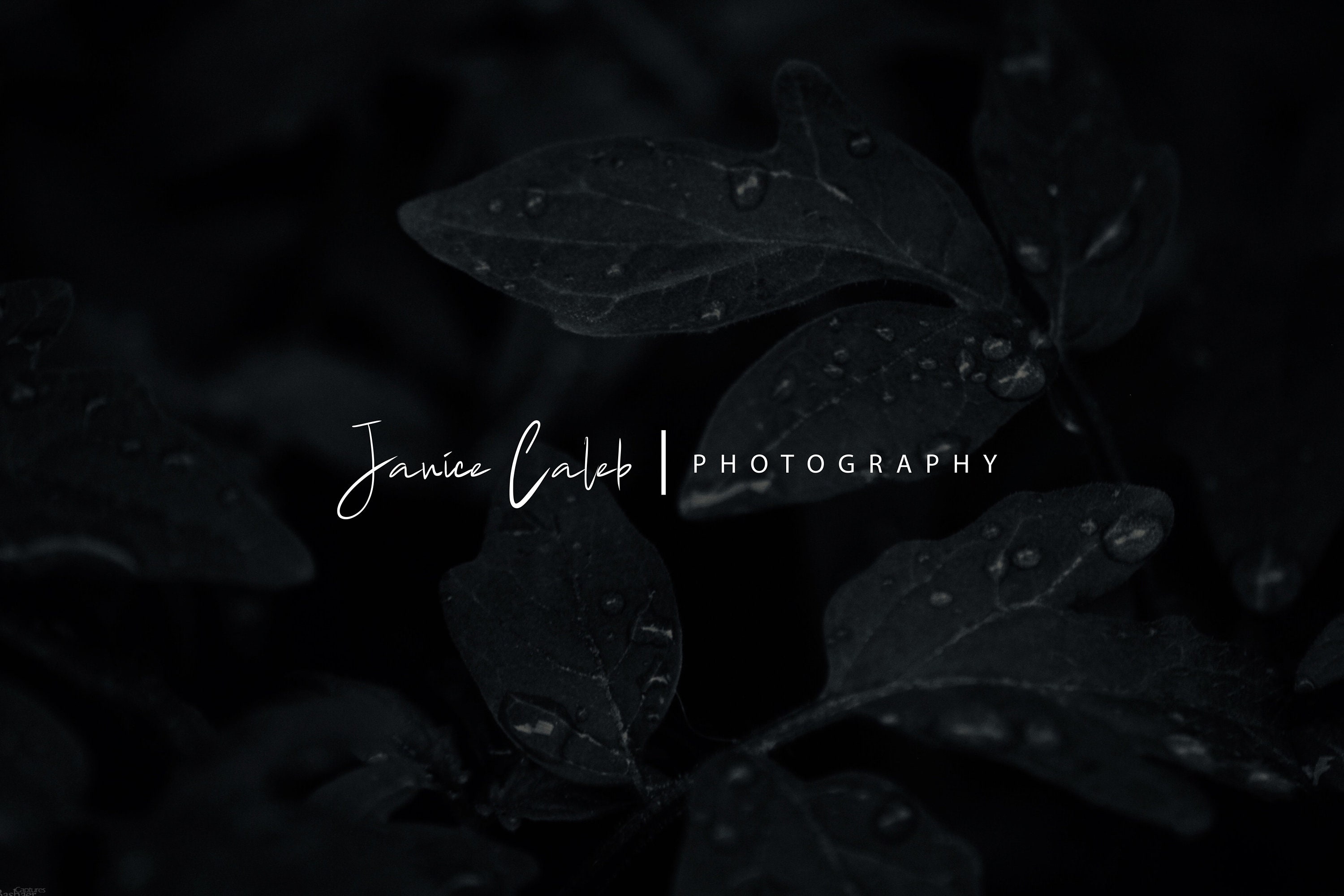 Signature Logo Custom Watermark Logo Custom Photography | Etsy
