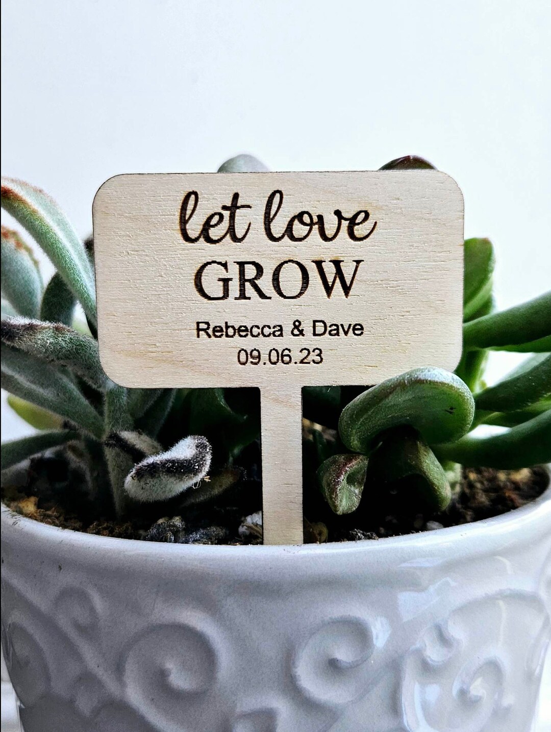 Wooden Let Love Grow Plant Tag, Bridal Shower Favor Tag, Wedding Favor ...