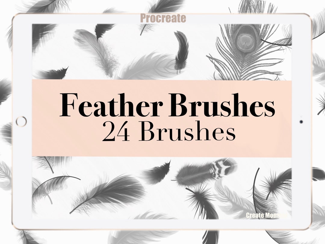 Procreate Feather Brushes - 24 Procreate Stamps Set - Procreate Bird ...