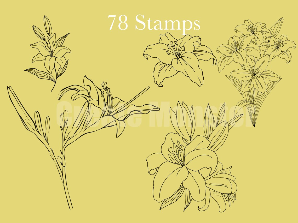 78 Procreate Lily Stamps Procreate Rose Stamp Procreate - Etsy