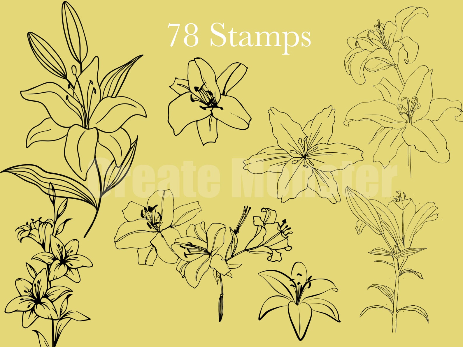 78 Procreate Lily Stamps Procreate Rose Stamp Procreate - Etsy