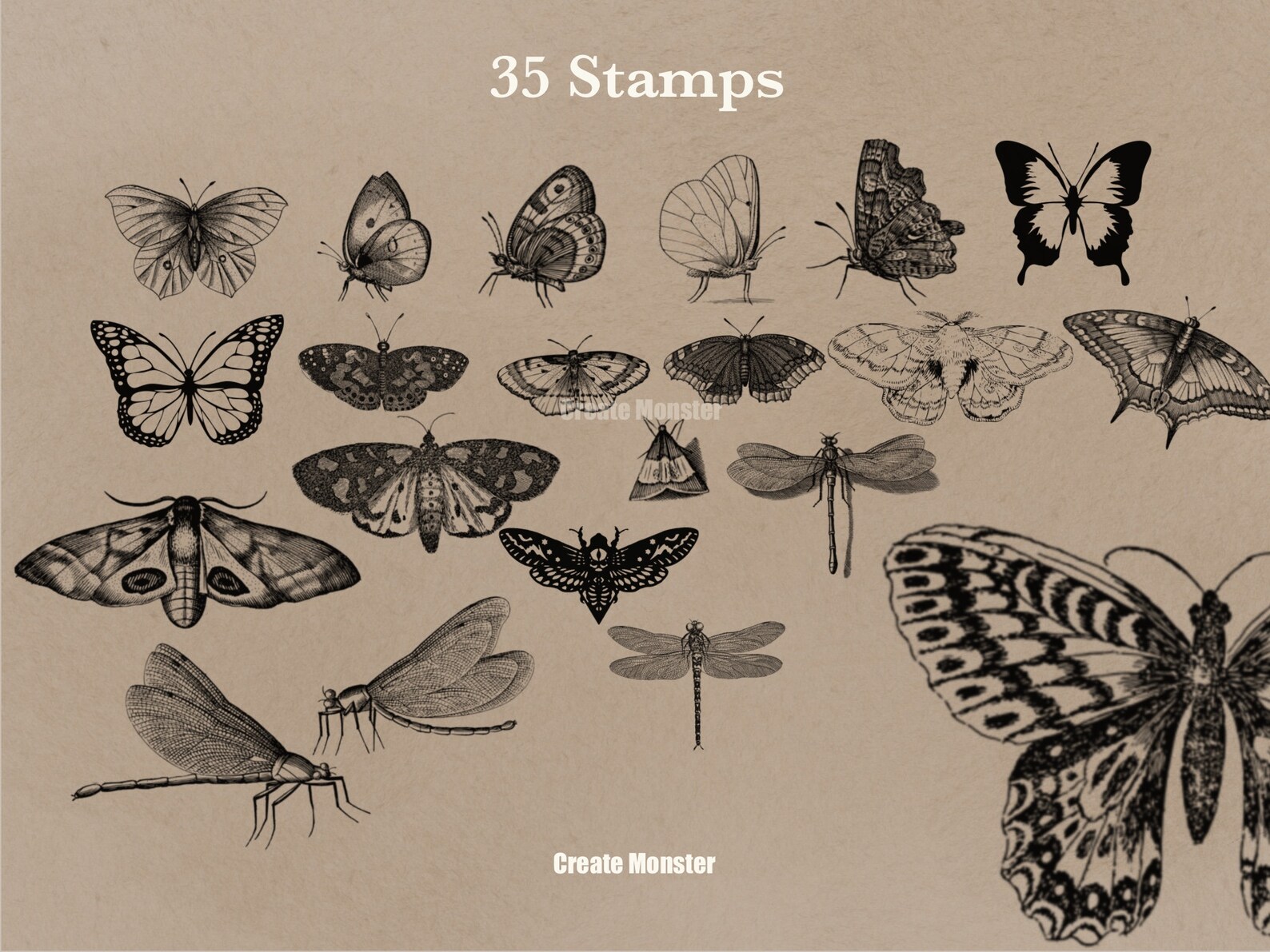 Procreate Butterfly and Moth Stamps 35 Procreate Insects - Etsy