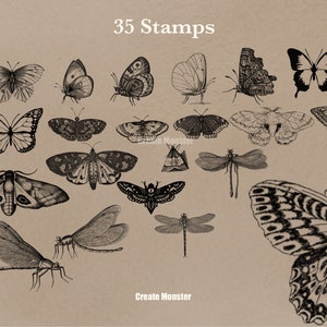 Procreate Butterfly and Moth Stamps 35 Procreate Insects - Etsy