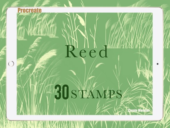 30 Procreate Reed Stamps Procreate Forest Stamps Plant | Etsy