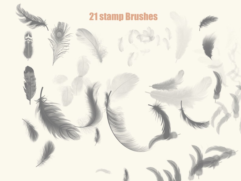 Procreate Feather Brushes 24 Procreate Stamps Set - Etsy