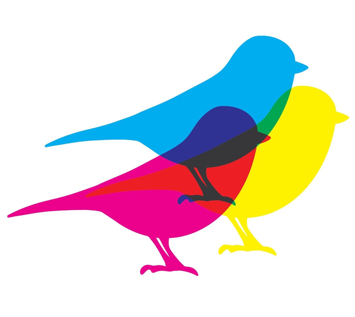 Three little birds in CMYK colours high quality 300 dpi A4 | Etsy