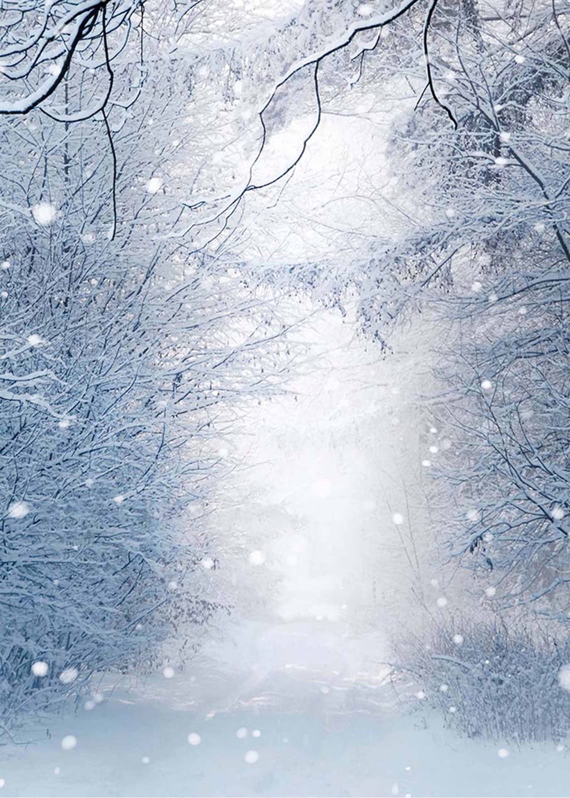 Winter Wonderland Background Photo Backdrop Snowflake | Etsy
