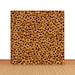 Leopard Print Photography Backdrop: Wild Animal Birthday Party Photo ...
