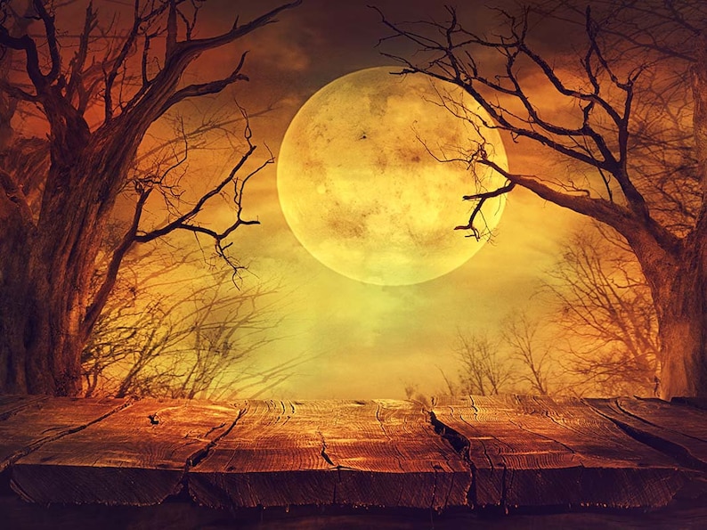 Halloween Full Moon Photography Backdrop - Etsy