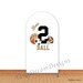 Editable Birthday Backdrop Banner, Born TWO Ball Second Birthday Boy ...