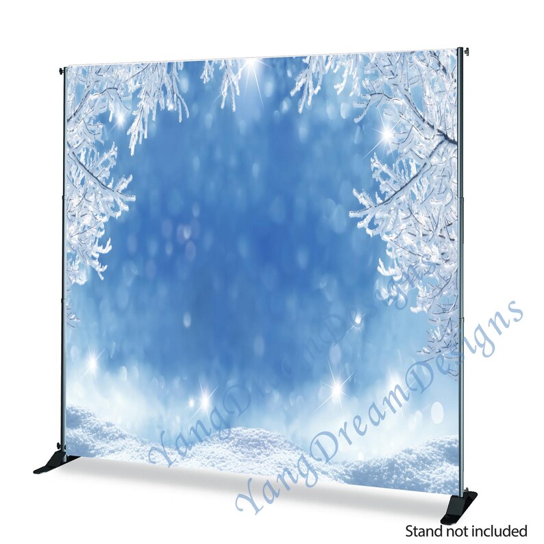Winter Wonderland Photo Backdrop: Christmas Holiday Snowy Studio ...