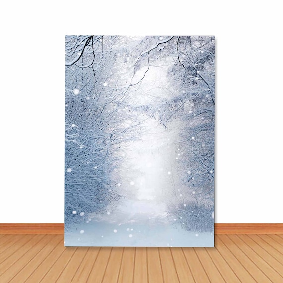 Winter Wonderland Background Photo Backdrop Snowflake - Etsy