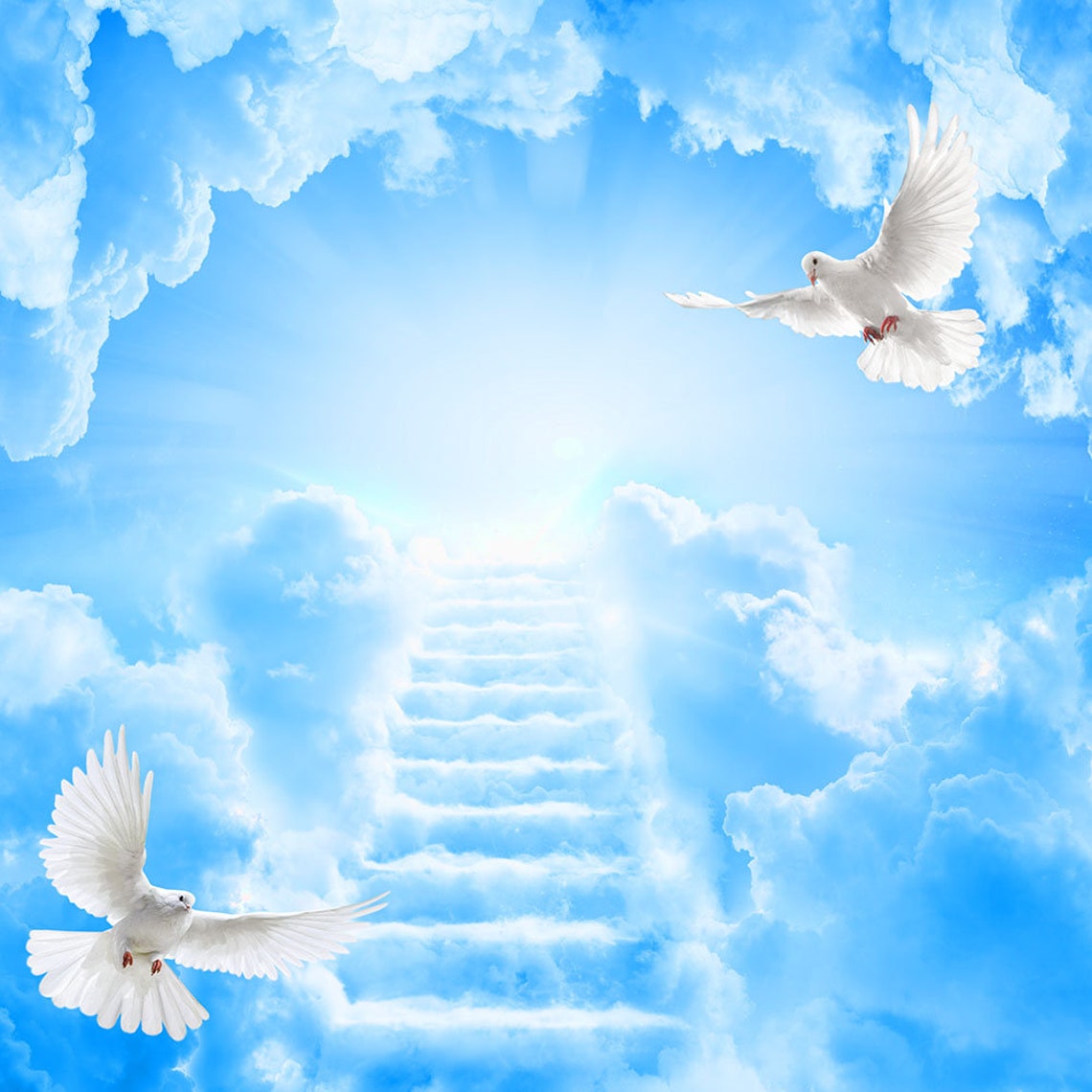 Memorial Photo Backdrop: Heaven Cloud Pigeon Photography Background - Etsy