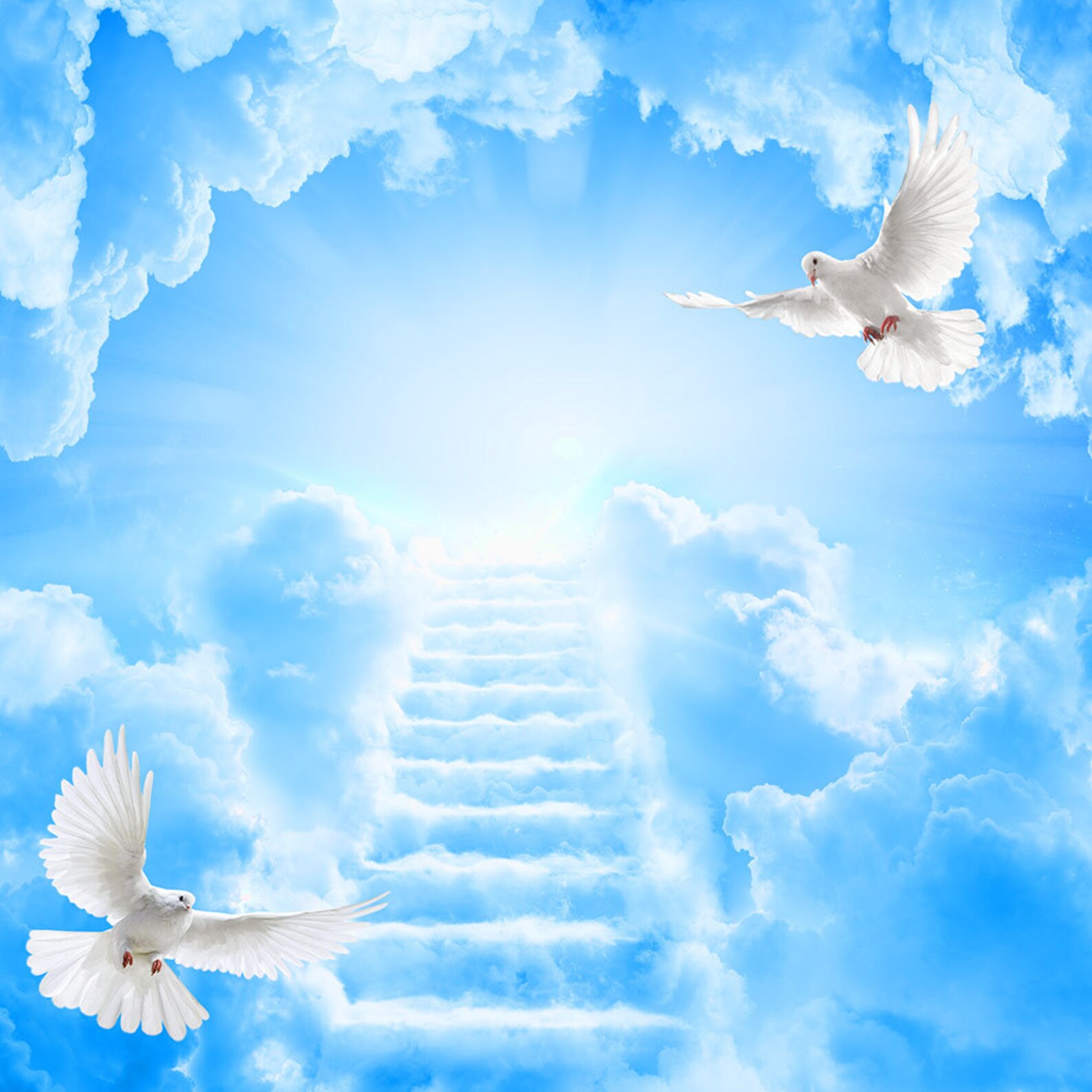 Memorial Photo Backdrop Heaven Pigeon Photography Background - Etsy