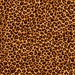 Leopard Print Photography Backdrop: Wild Animal Birthday Party Photo ...