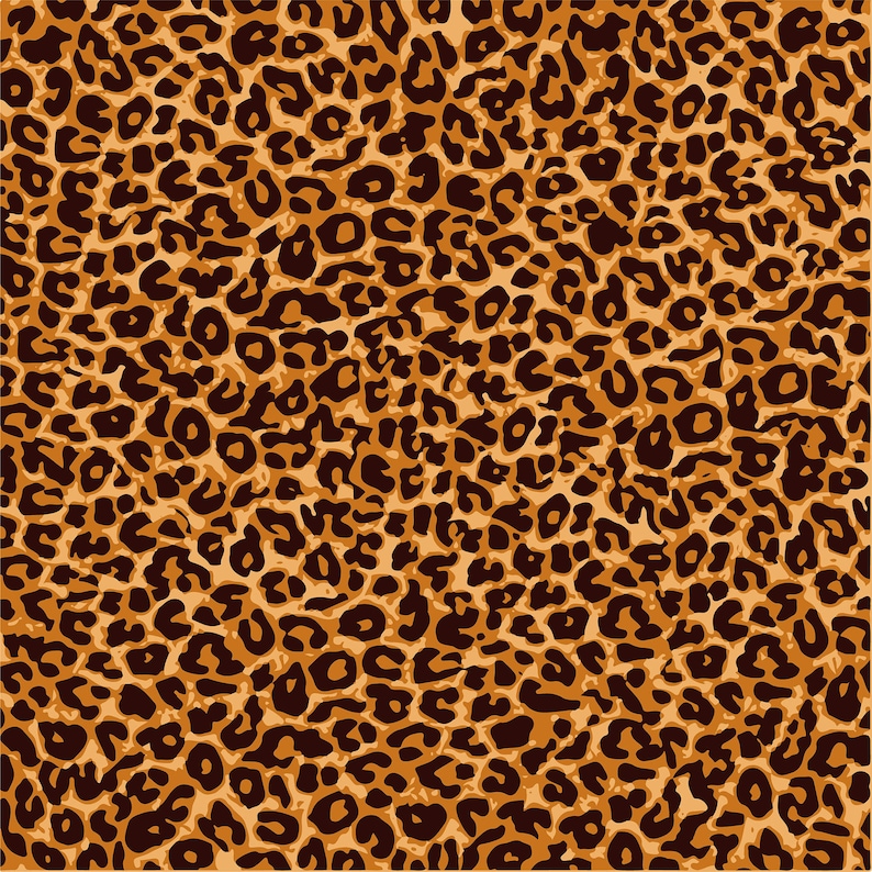 Leopard Print Photography Backdrop: Wild Animal Birthday Party Photo ...