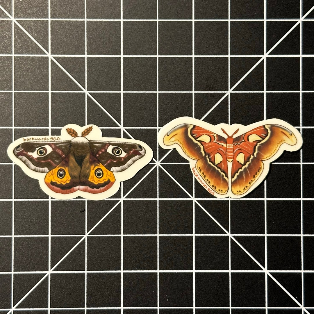 Moth Vinyl Sticker Set // Emperor Moth, Atlas Moth Aesthetic Waterproof ...