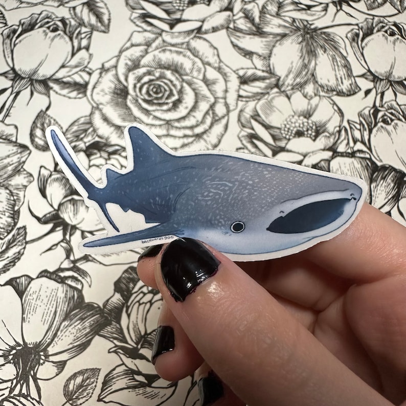 Shark Vinyl Sticker Set // Nurse Shark, Lemon Shark, Whale Shark ...
