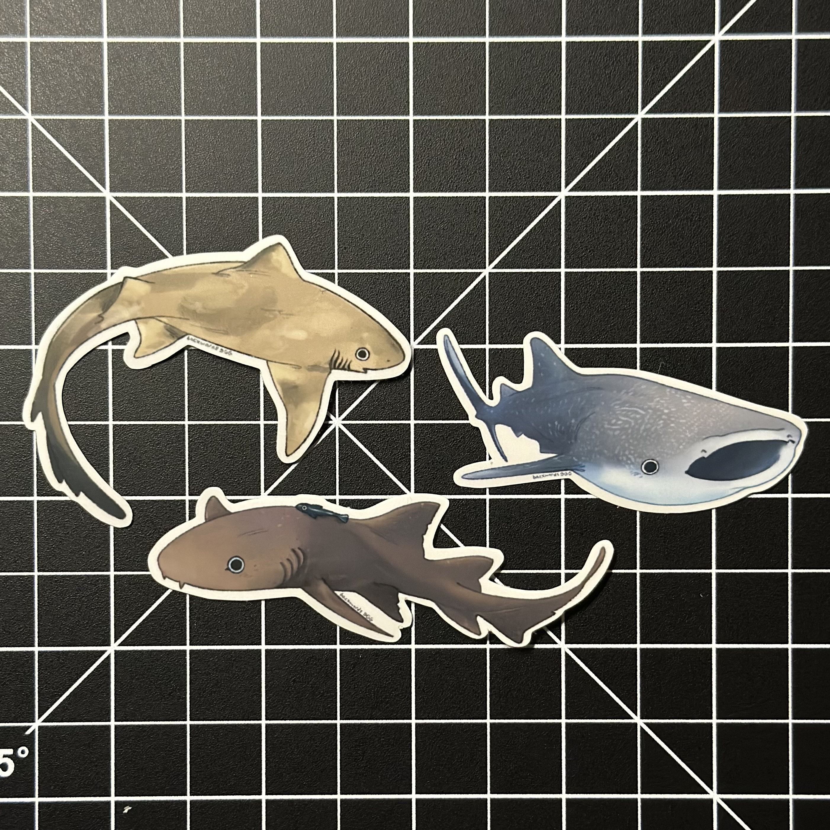 Shark Vinyl Sticker Set // Nurse Shark, Lemon Shark, Whale Shark ...