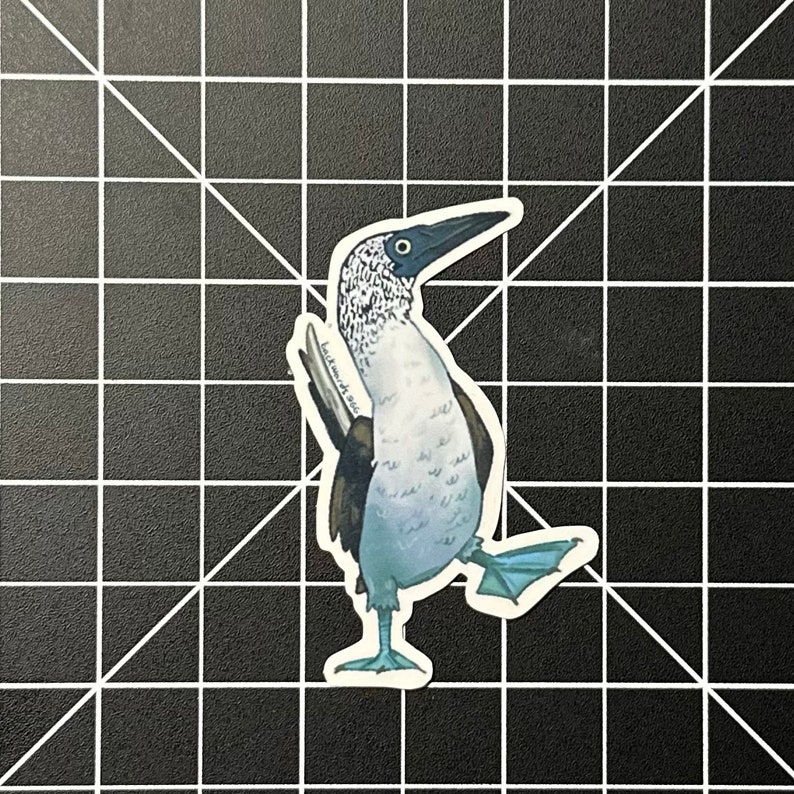 Marine Birds Vinyl Sticker Set // Blue Footed Booby, Penguin, Puffin ...