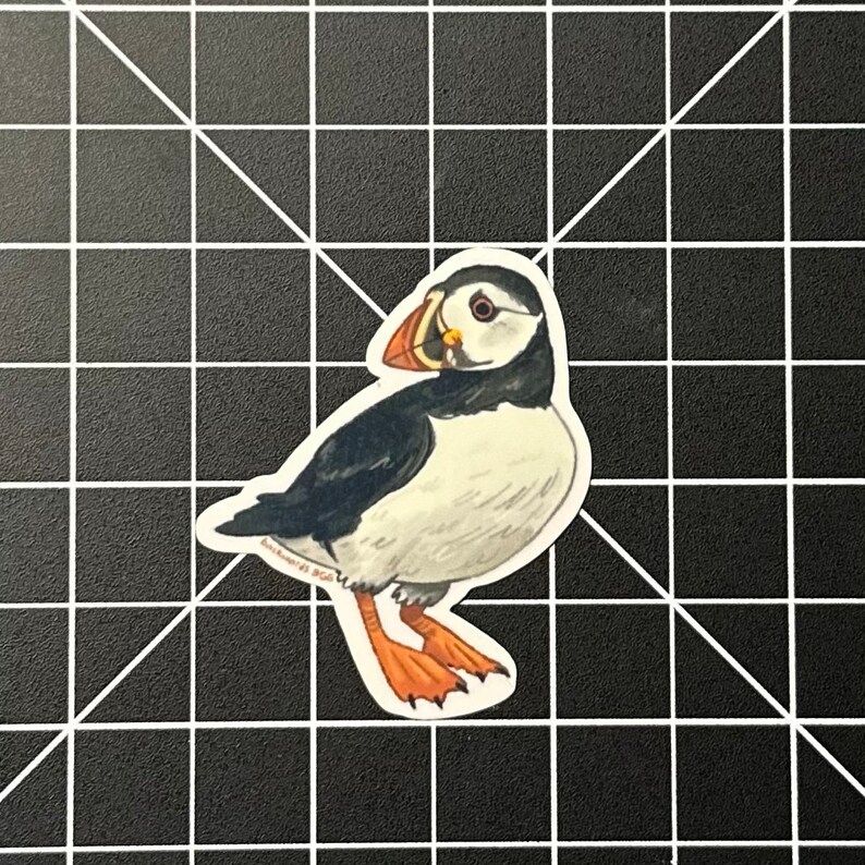 Marine Birds Vinyl Sticker Set // Blue Footed Booby, Penguin, Puffin ...
