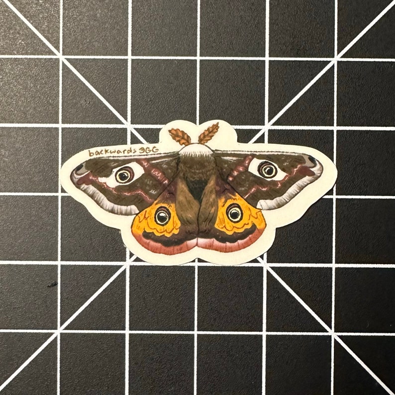 Moth Vinyl Sticker Set // Emperor Moth, Atlas Moth Aesthetic Waterproof ...