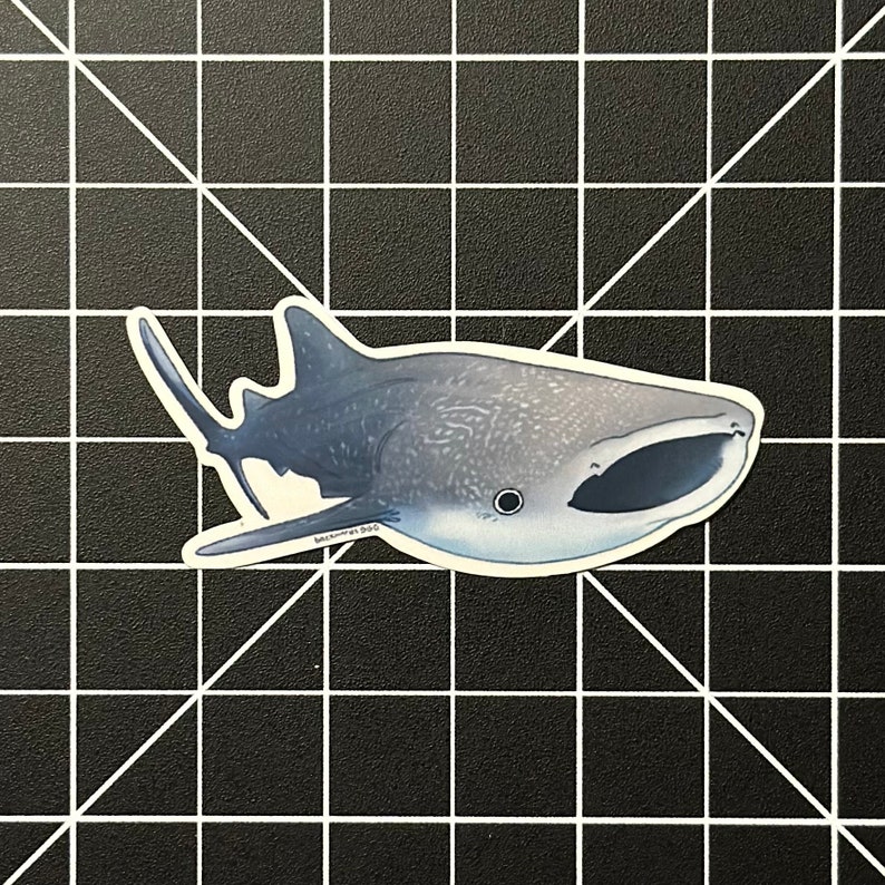 Shark Vinyl Sticker Set // Nurse Shark, Lemon Shark, Whale Shark ...