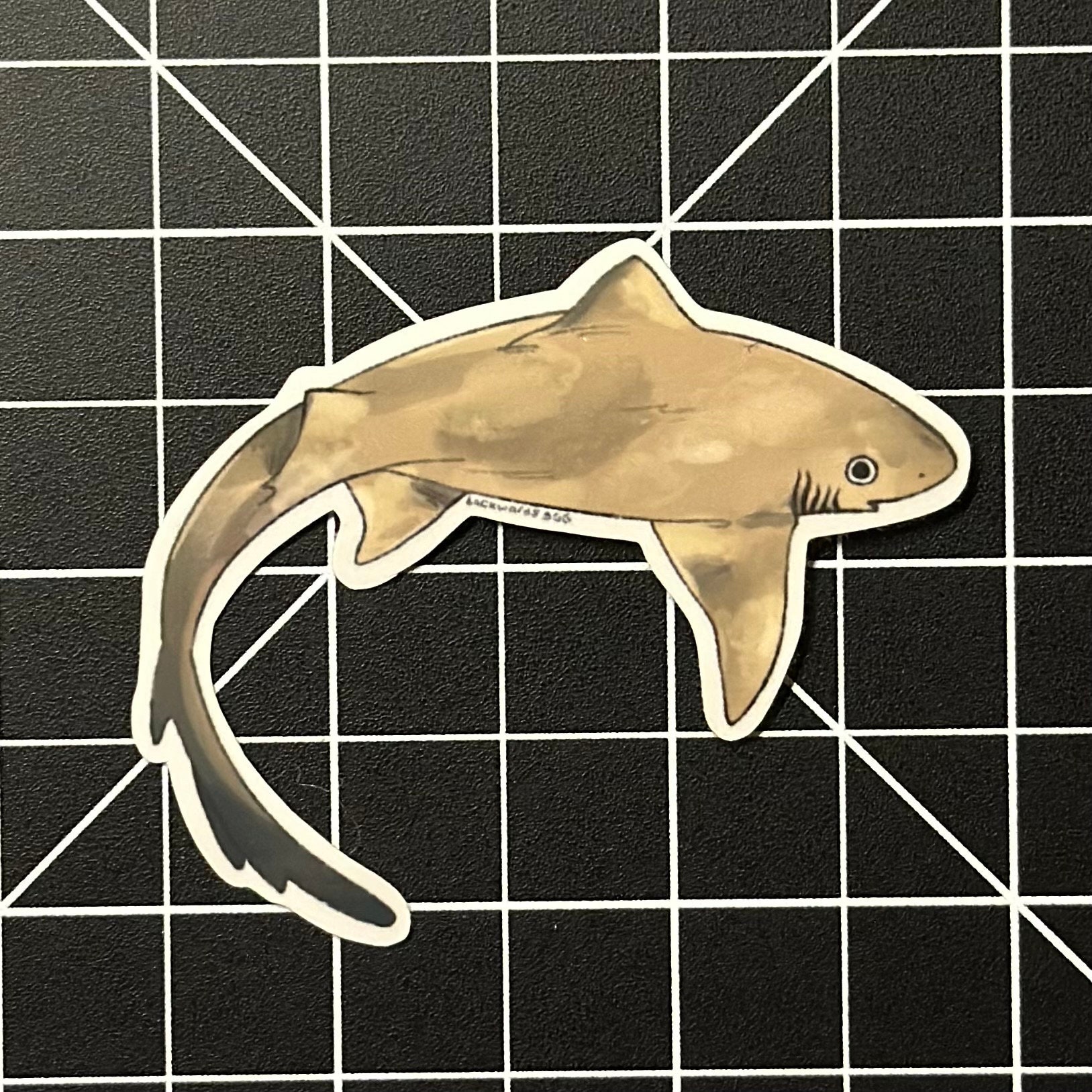 Shark Vinyl Sticker Set // Nurse Shark, Lemon Shark, Whale Shark ...