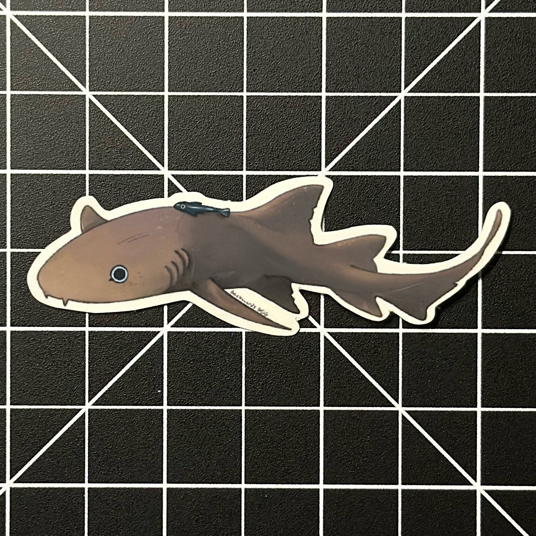 Shark Vinyl Sticker Set // Nurse Shark, Lemon Shark, Whale Shark ...