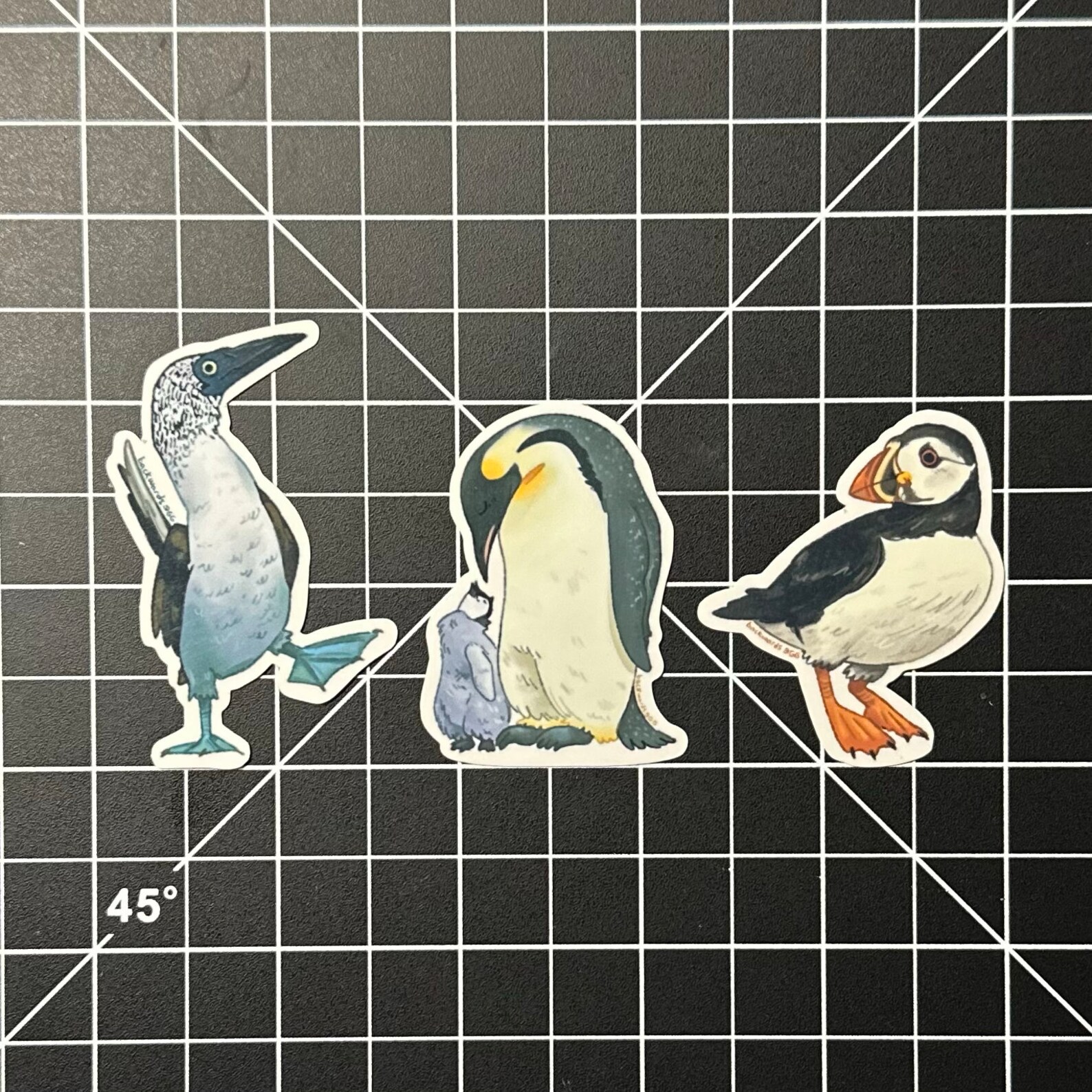 Marine Birds Vinyl Sticker Set // Blue Footed Booby, Penguin, Puffin ...