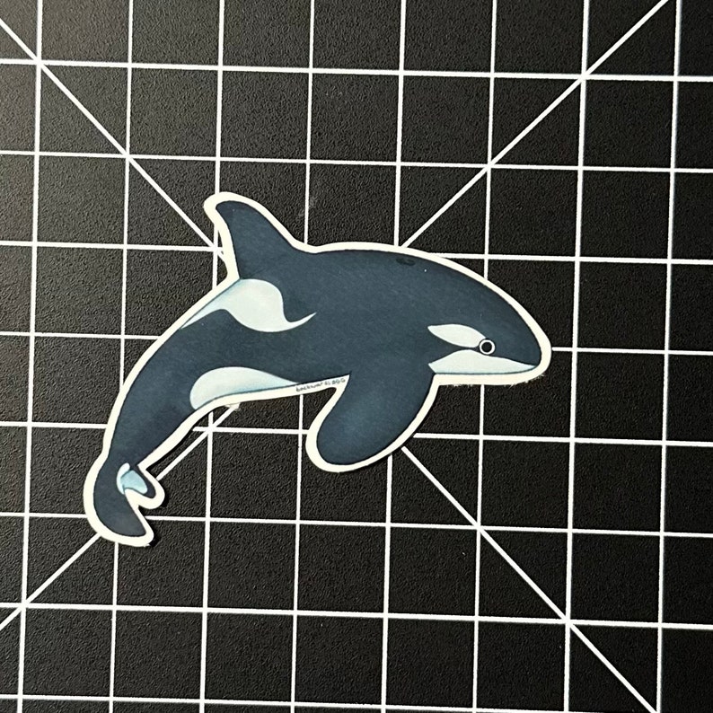 Whale Vinyl Sticker Set // Orca, Narwhal, Beluga, Aesthetic Waterproof ...
