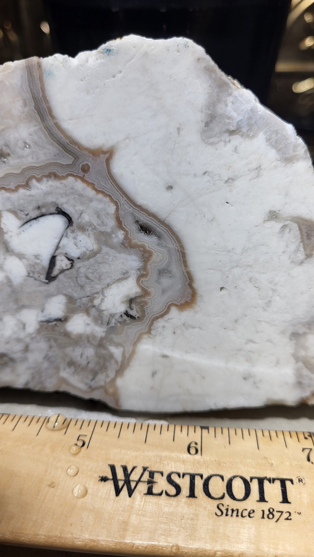 Crazy Lace Agate Slabs - Etsy