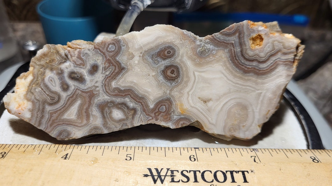 Crazy Lace Agate Slabs - Etsy