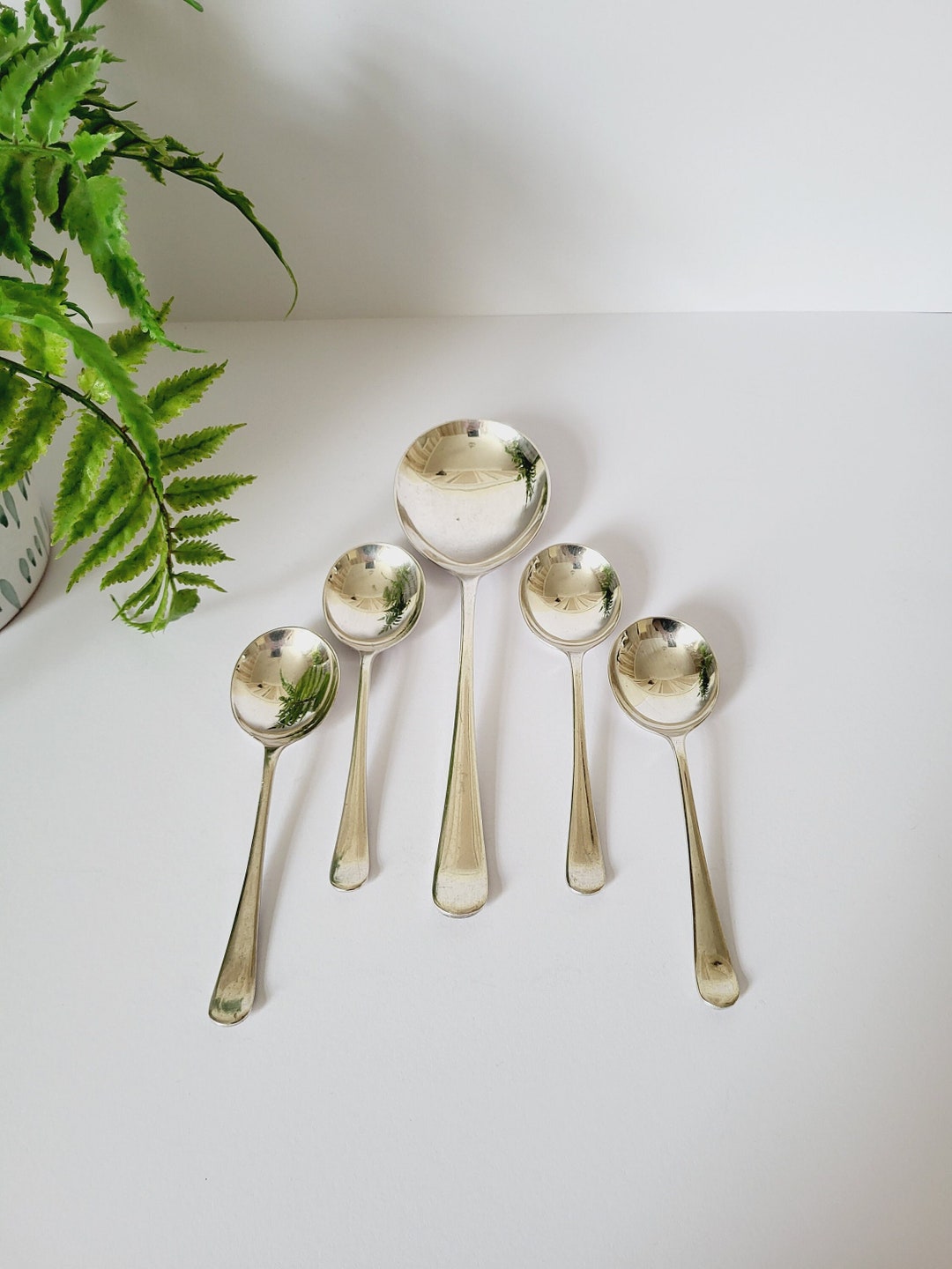 Set of 4 Silver Plated Dessert / Pudding Spoons With Serving Spoon EPNS ...