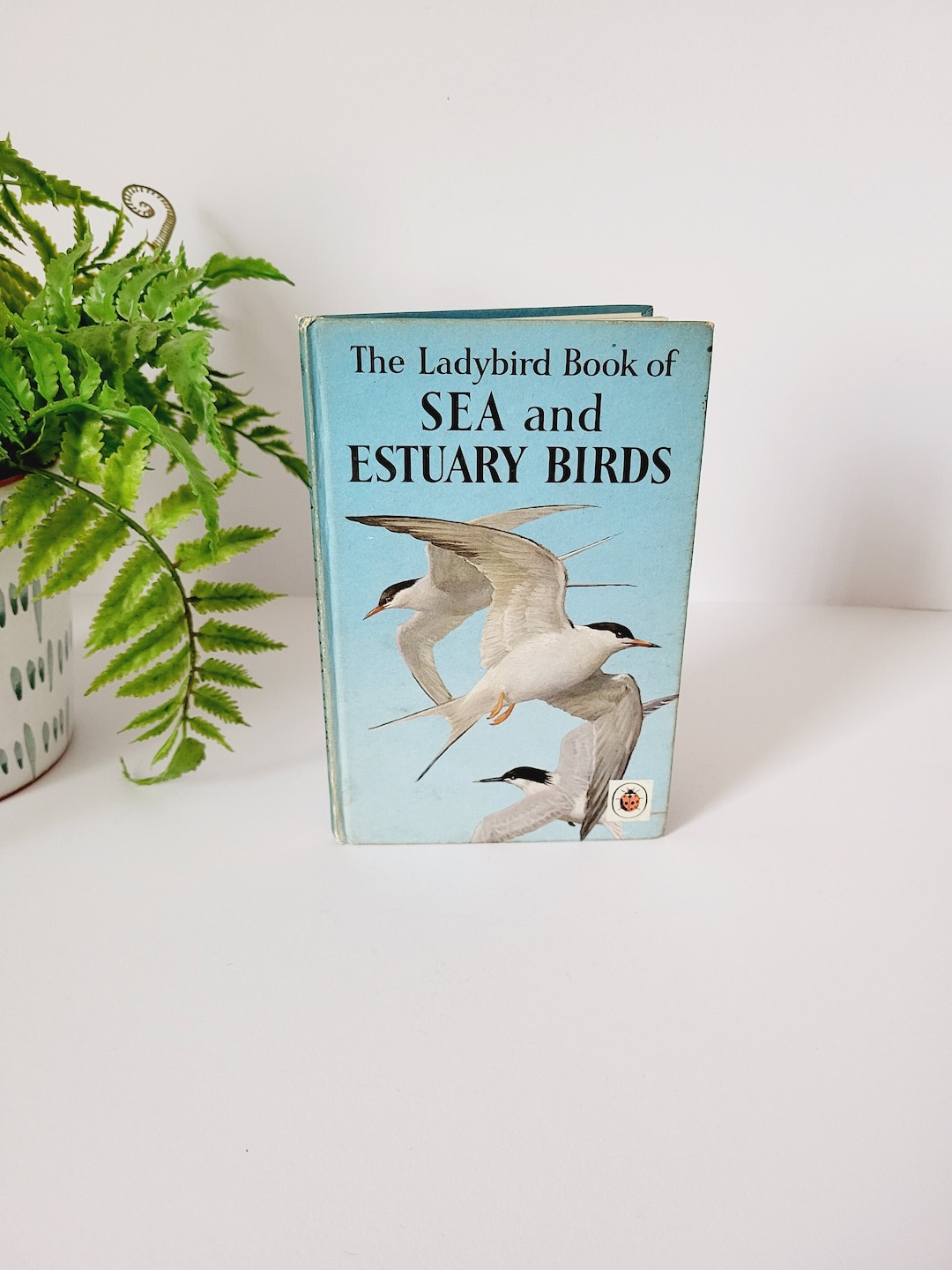 Sea and Estuary Birds - Vintage Ladybird Book - Written by John Leigh ...