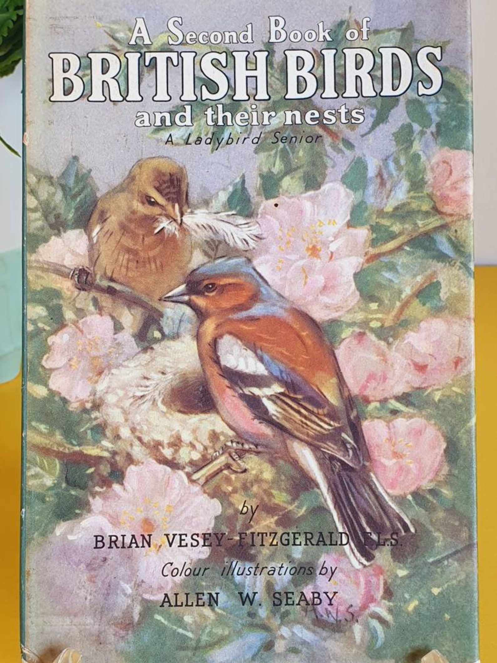 Vintage "a Second Book of British Birds and Their Nests" A Ladybird ...