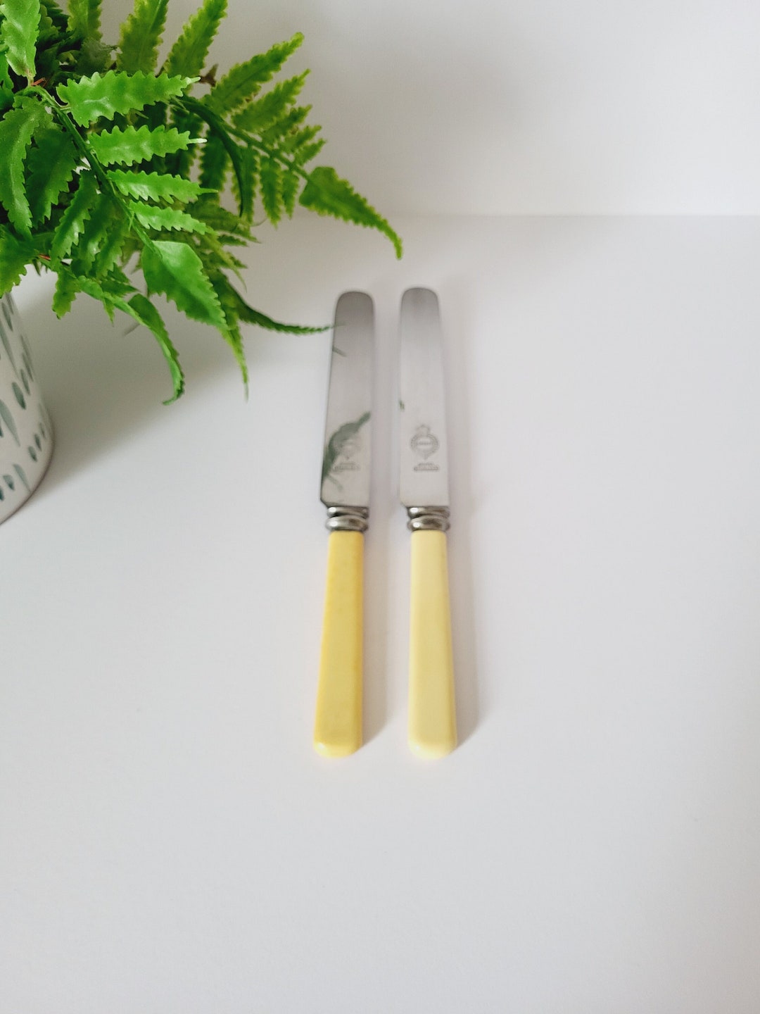 Pair of Large Faux Bone Handled Round Ended Cutlery Stainless Steel ...