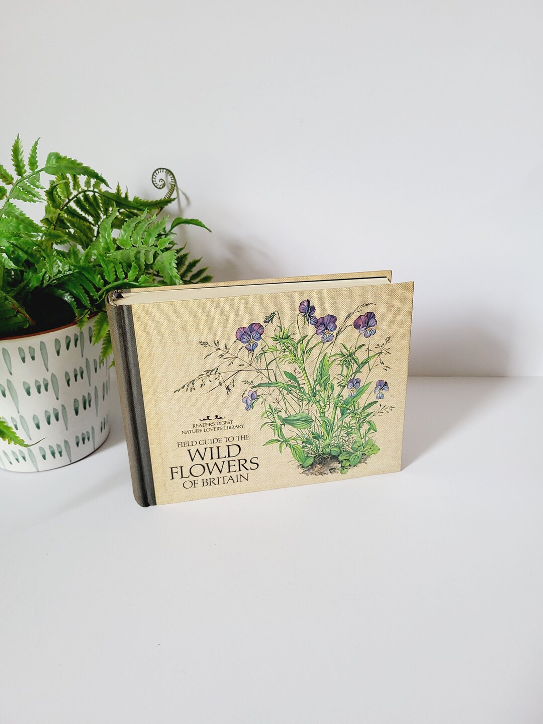 Field Guide to the Wild Flowers of Britain 447 Pages Many Illustrations ...