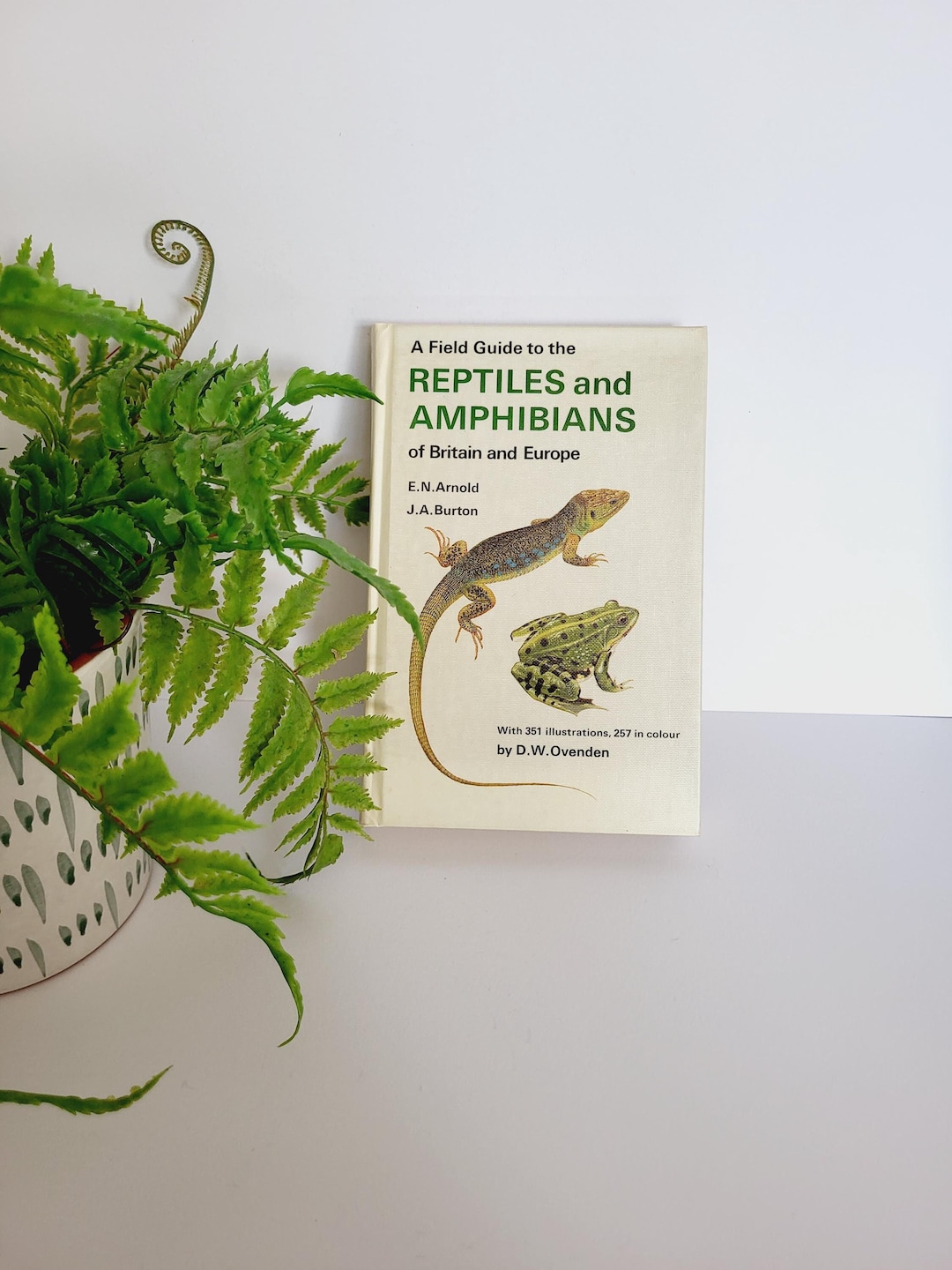 A Field Guide to the Reptiles and Amphibians of Britain and Europe ...